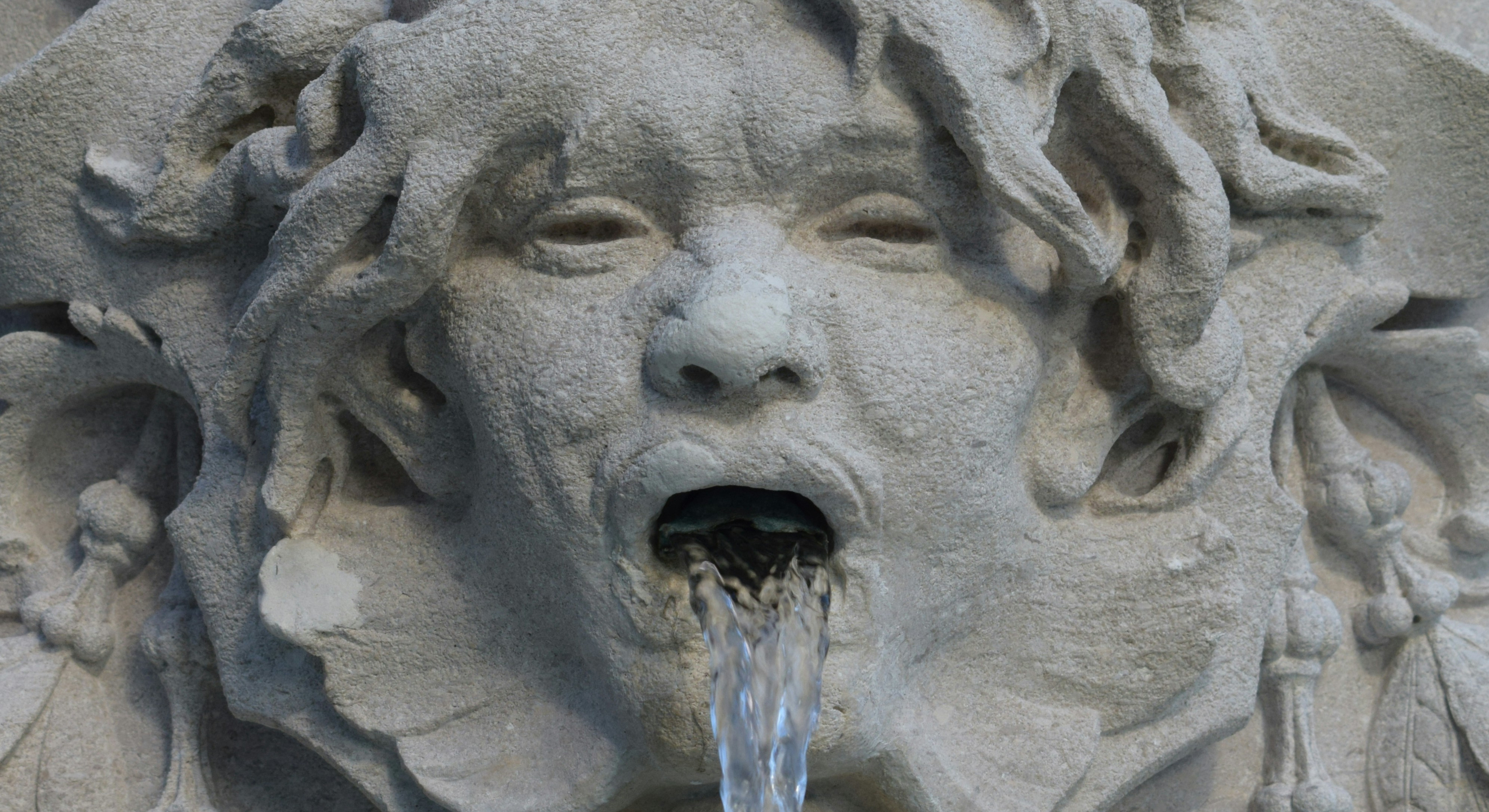 FINASS-Übernahme: Vom Partner zum Profitcenter - dvb